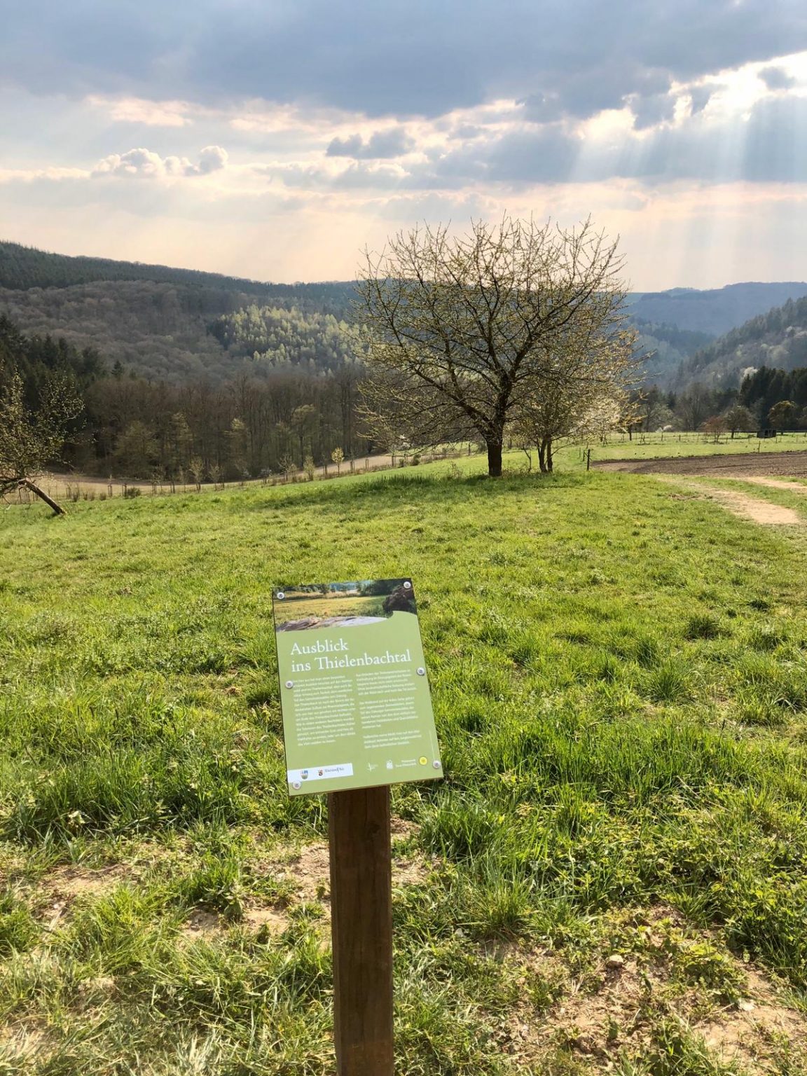 Panoramaweg-12 – Ortsgemeinde Osburg