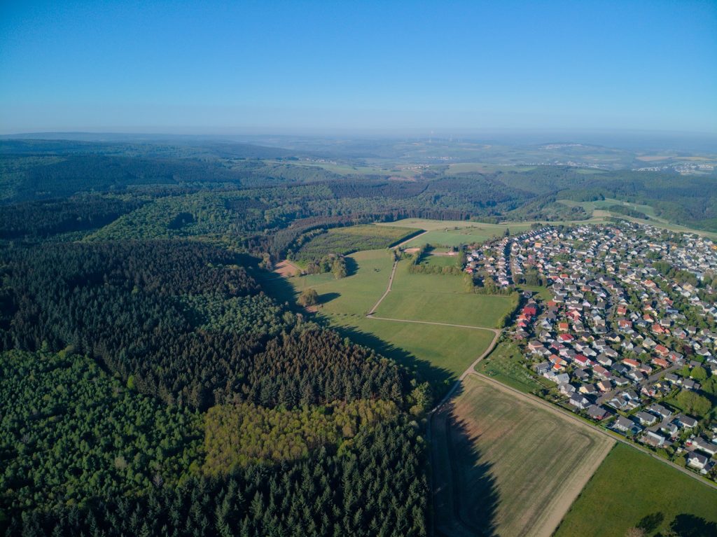 5 – Osburger Wald 1 – Ortsgemeinde Osburg