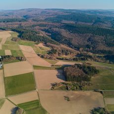 Osburger Hochwald und Wanderwege – Ortsgemeinde Osburg