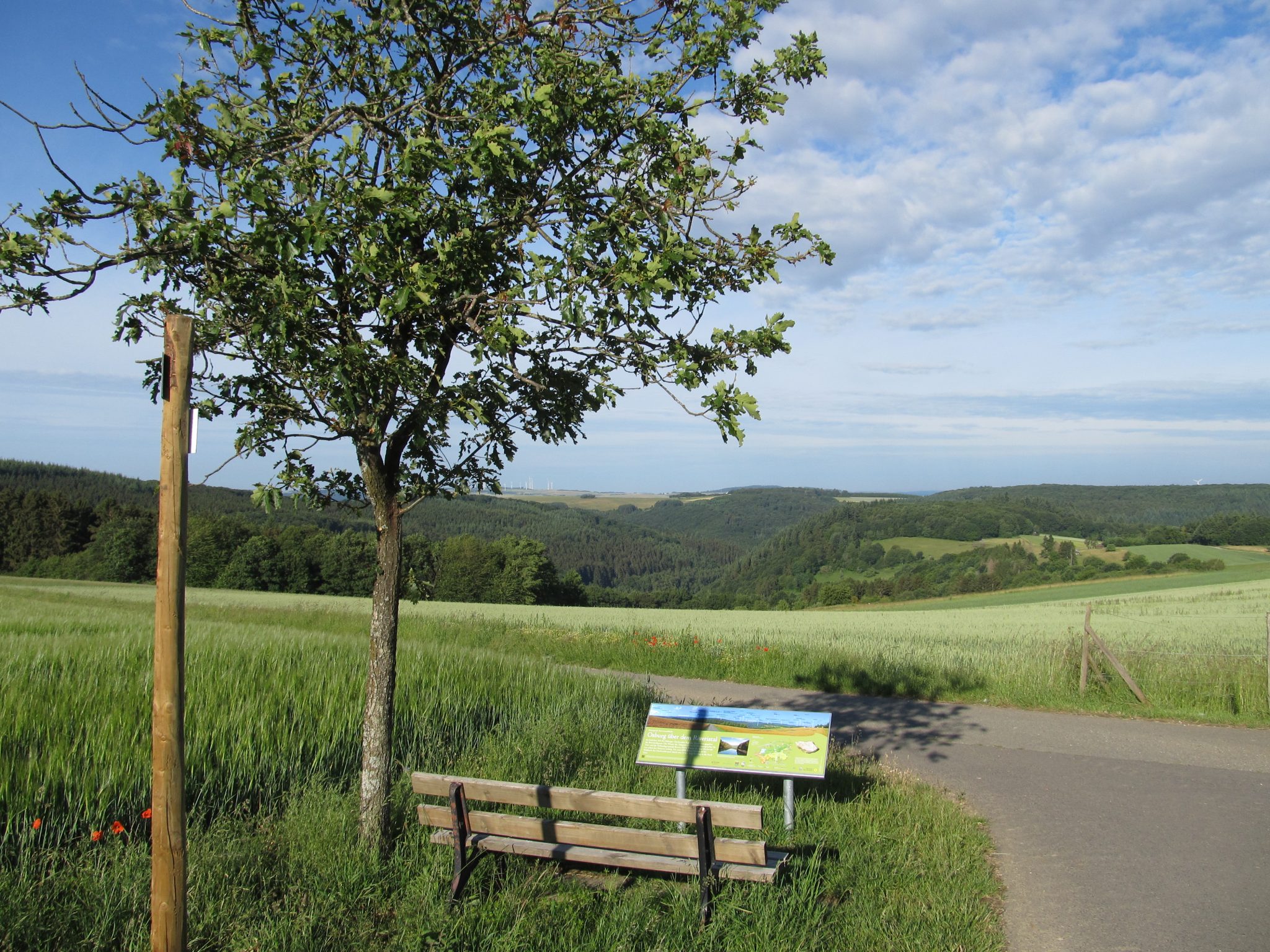 Panoramabild am Osburger Panoramaweg (Os3) – Ortsgemeinde Osburg